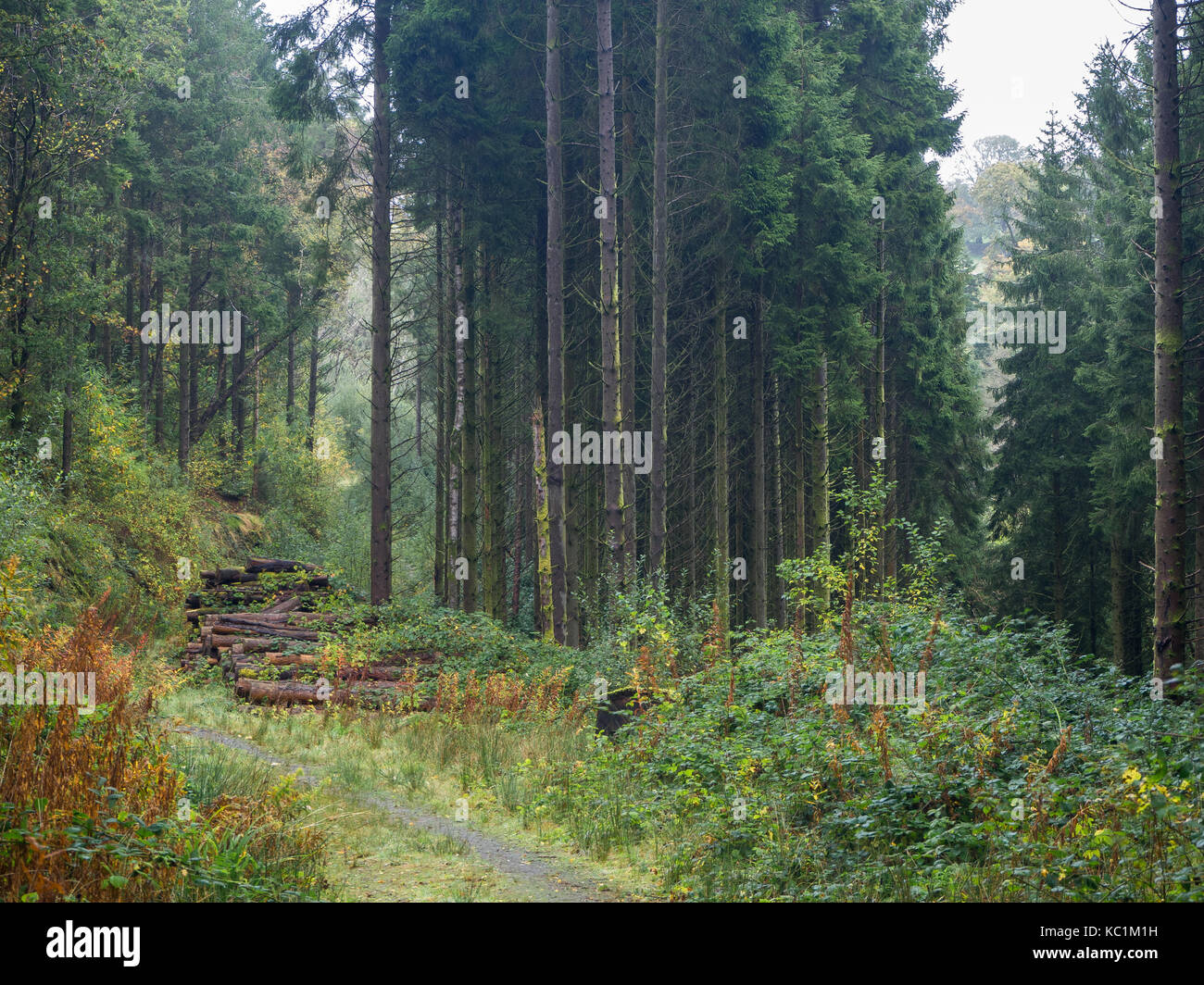 Cwm ffynonne hi-res stock photography and images - Alamy