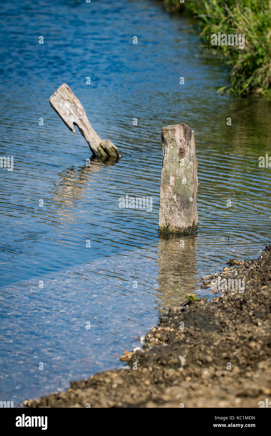 Single wooden post in shallow river water with reflection in summer ...