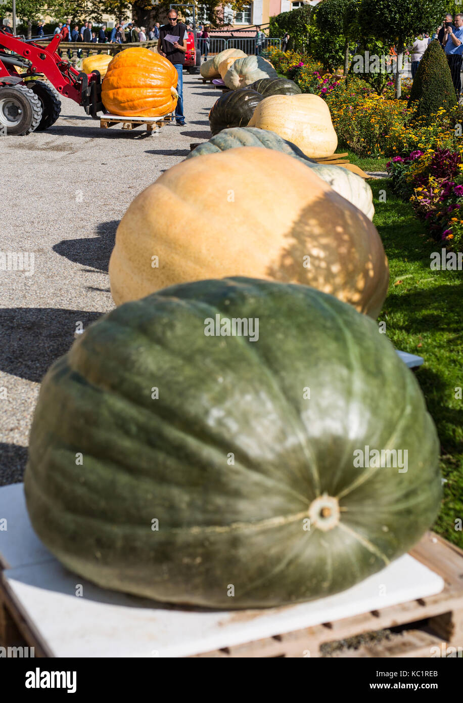 Ludwigsburg, Germany. 1st Oct, 2017. Numerous pumpkins at the German ...