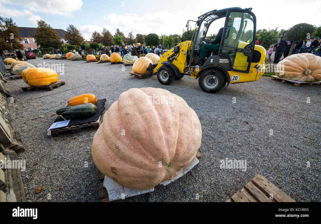 Ludwigsburg, Germany. 1st Oct, 2017. Numerous pumpkins at the German ...