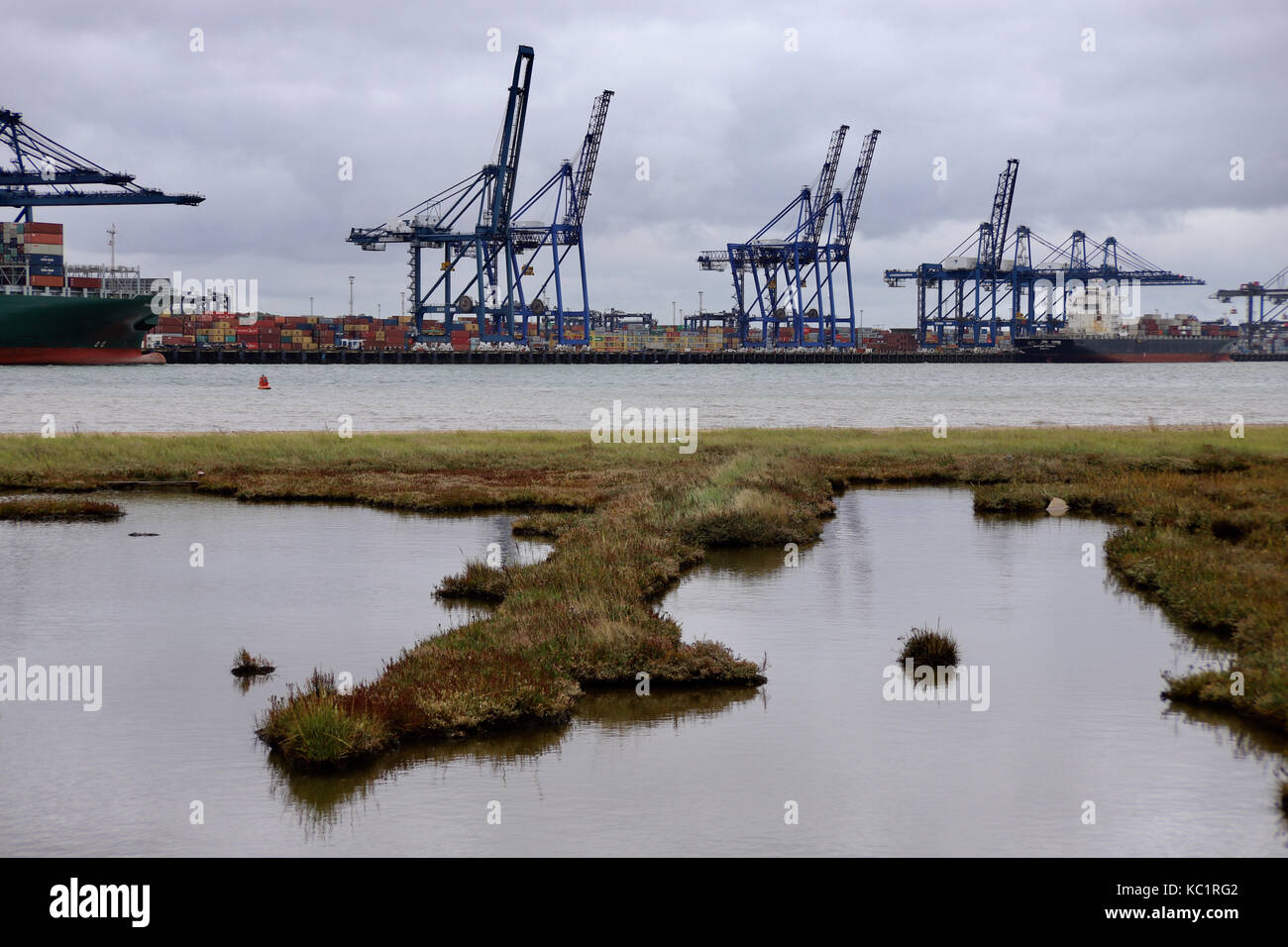 Shotley Gate, Suffolk, UK. 1st October, 2017. Port of Felixstowe cranes ...