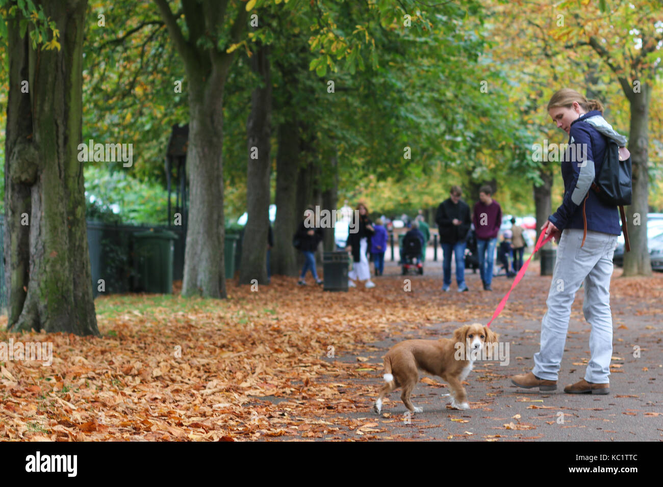 London, United Kingdom. 1st October, 2017. A lady walks a five month ...