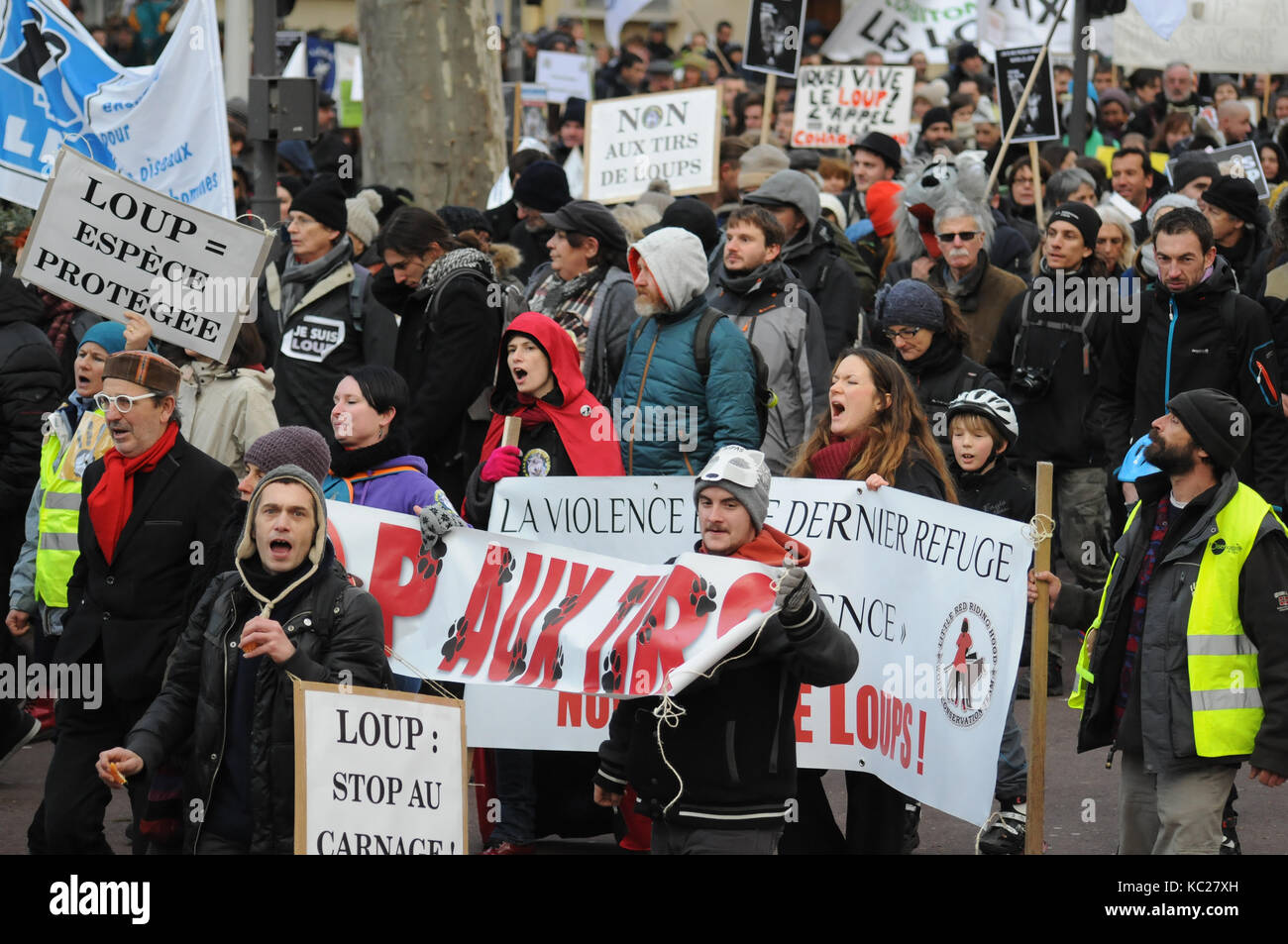 Thousands protest wolves killing in Lyon, France Stock Photo - Alamy