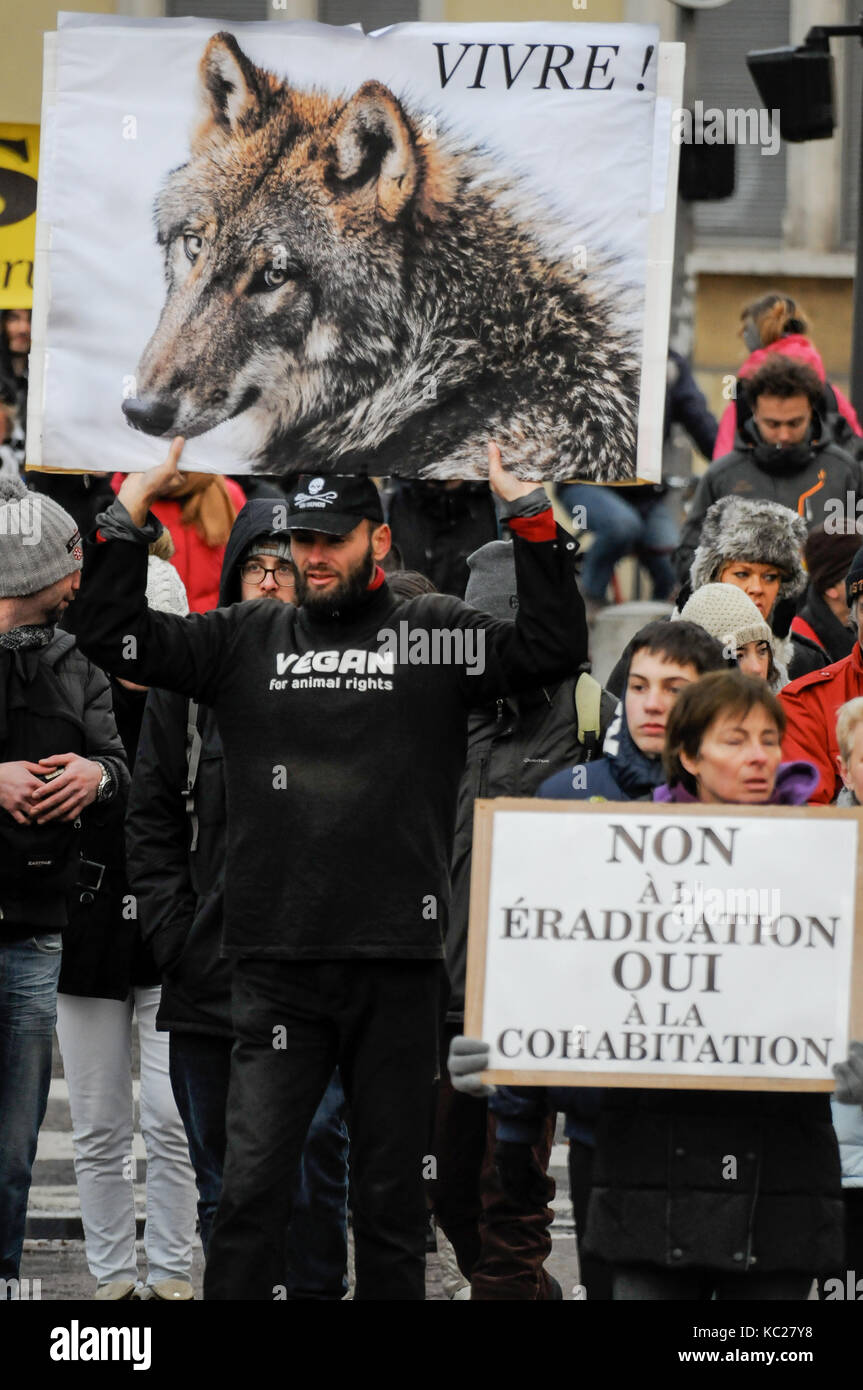 Thousands protest wolves killing in Lyon, France Stock Photo - Alamy