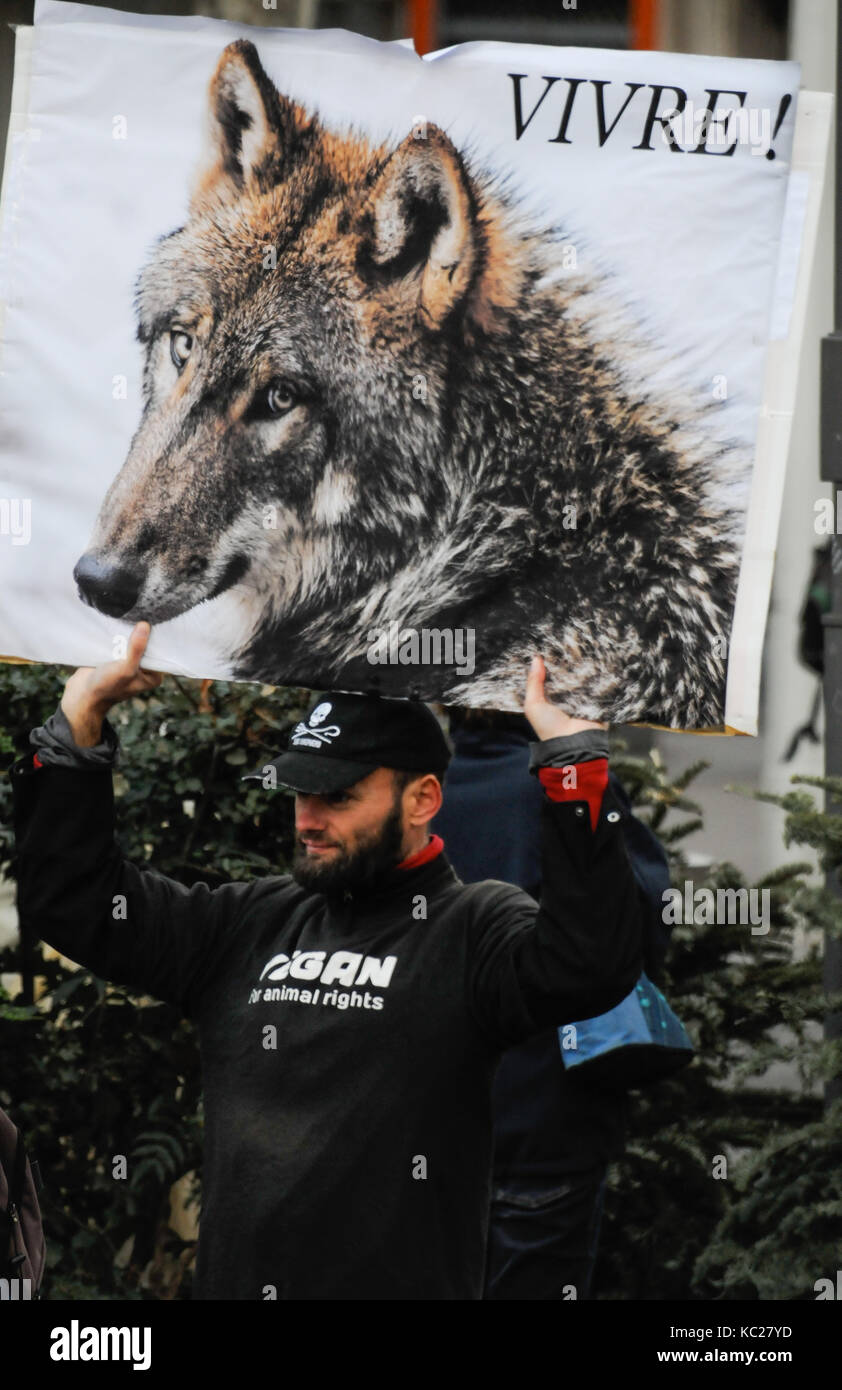 Thousands protest wolves killing in Lyon, France Stock Photo - Alamy