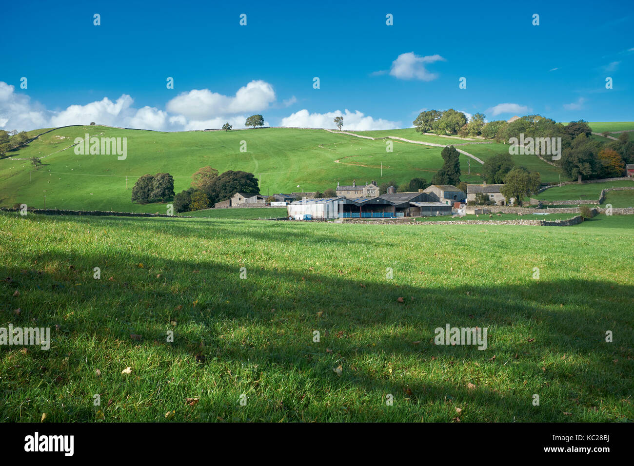 By Appletreewick. Walk south east from Burnsall towards Drebley along ...