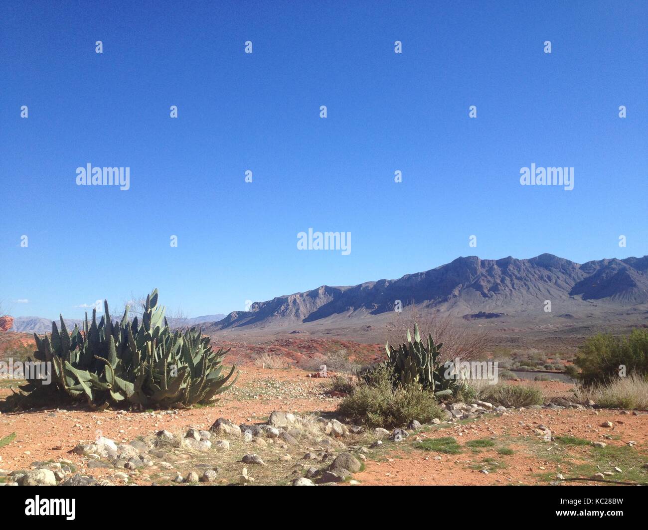 Terracotta of desert Stock Photo - Alamy