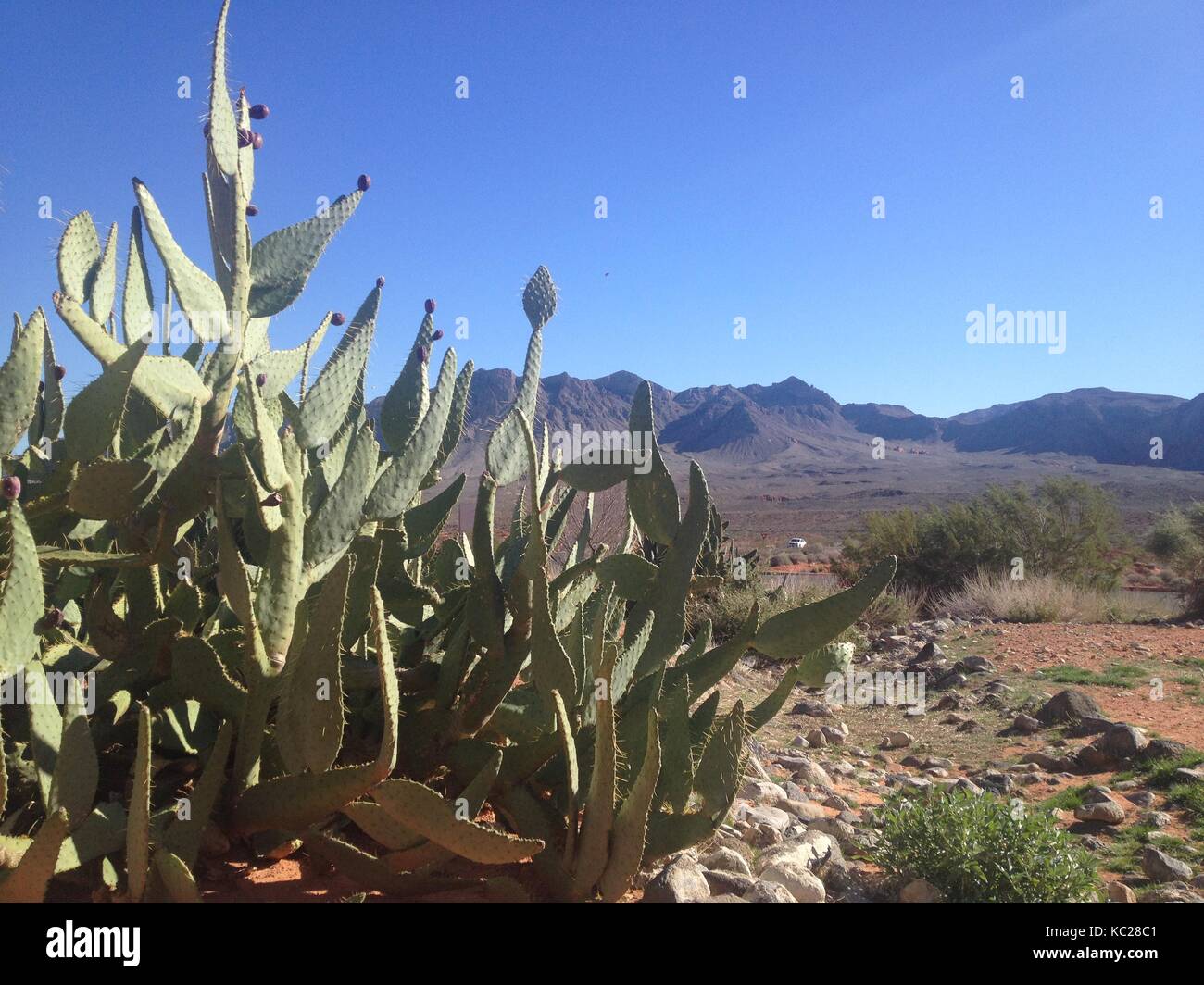 Fire land of Nevada Stock Photo - Alamy