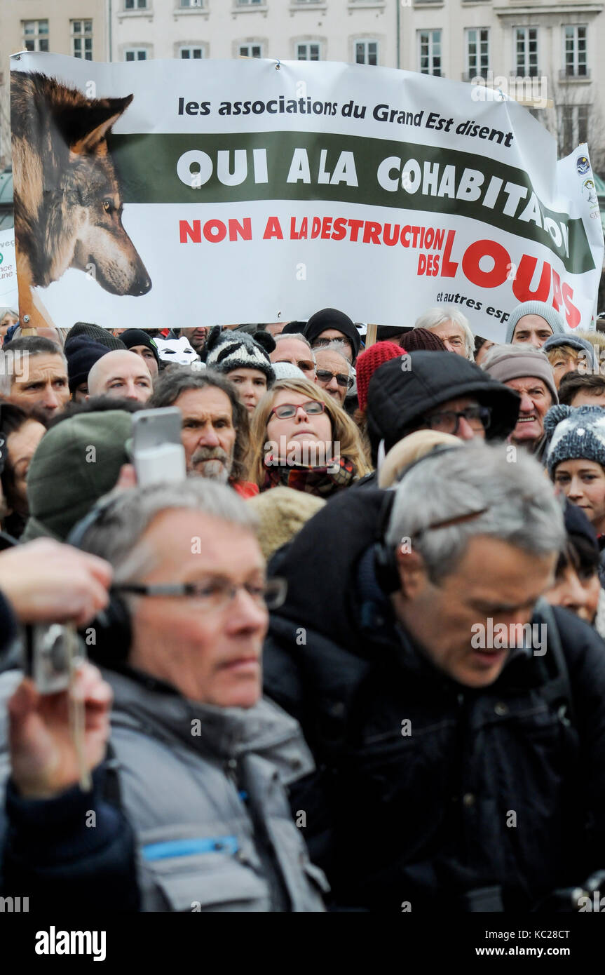 Thousands protest wolves killing in Lyon, France Stock Photo - Alamy