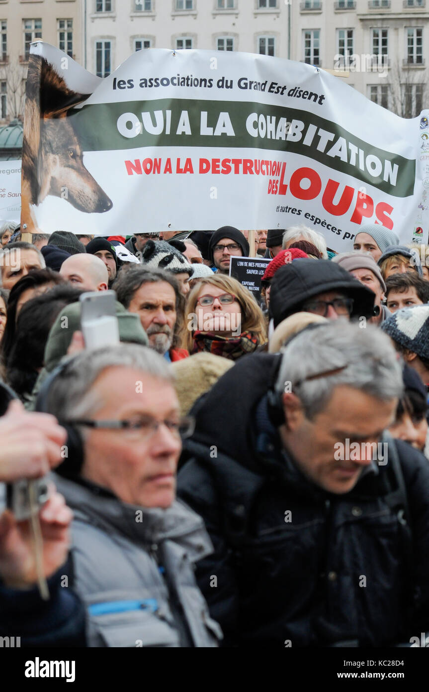 Thousands protest wolves killing in Lyon, France Stock Photo - Alamy