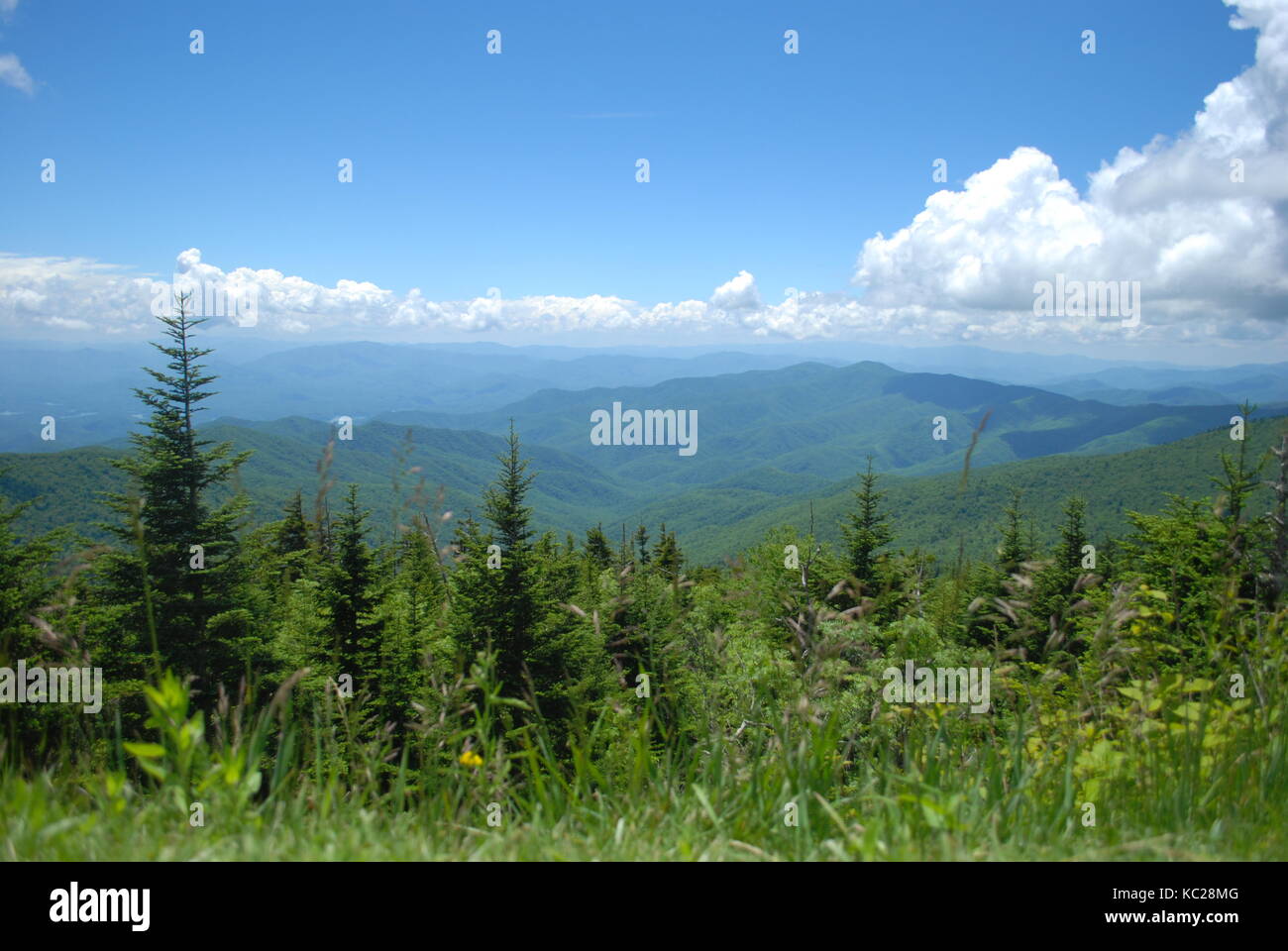 Forest and mountains Stock Photo - Alamy