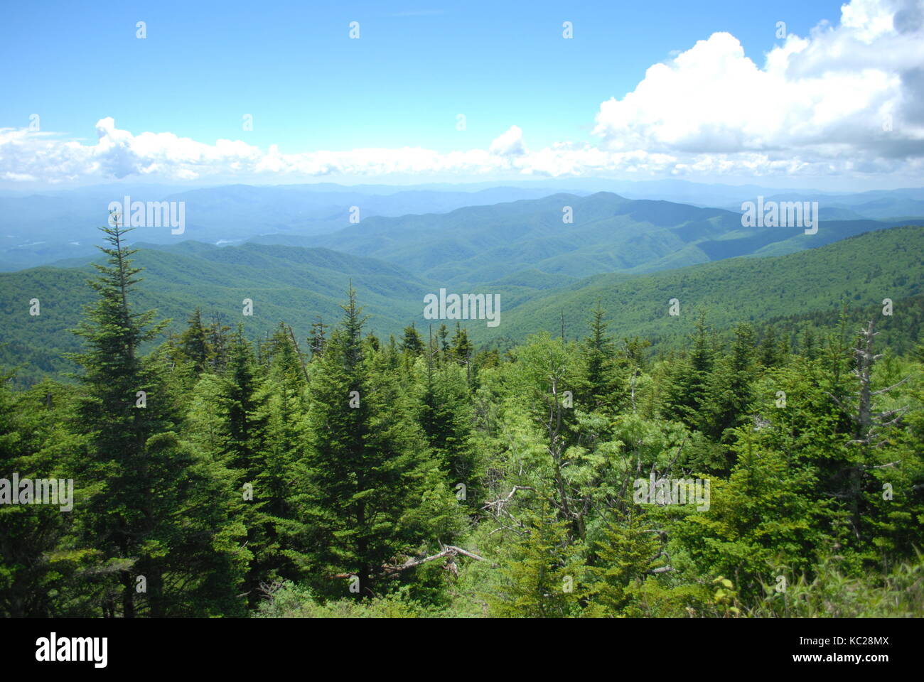 Cherokee national forest tn tennessee hi-res stock photography and ...