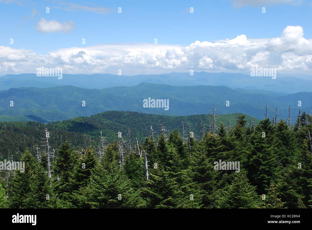 Multi level panoramic view with open horizon in blue shades. Poster ...