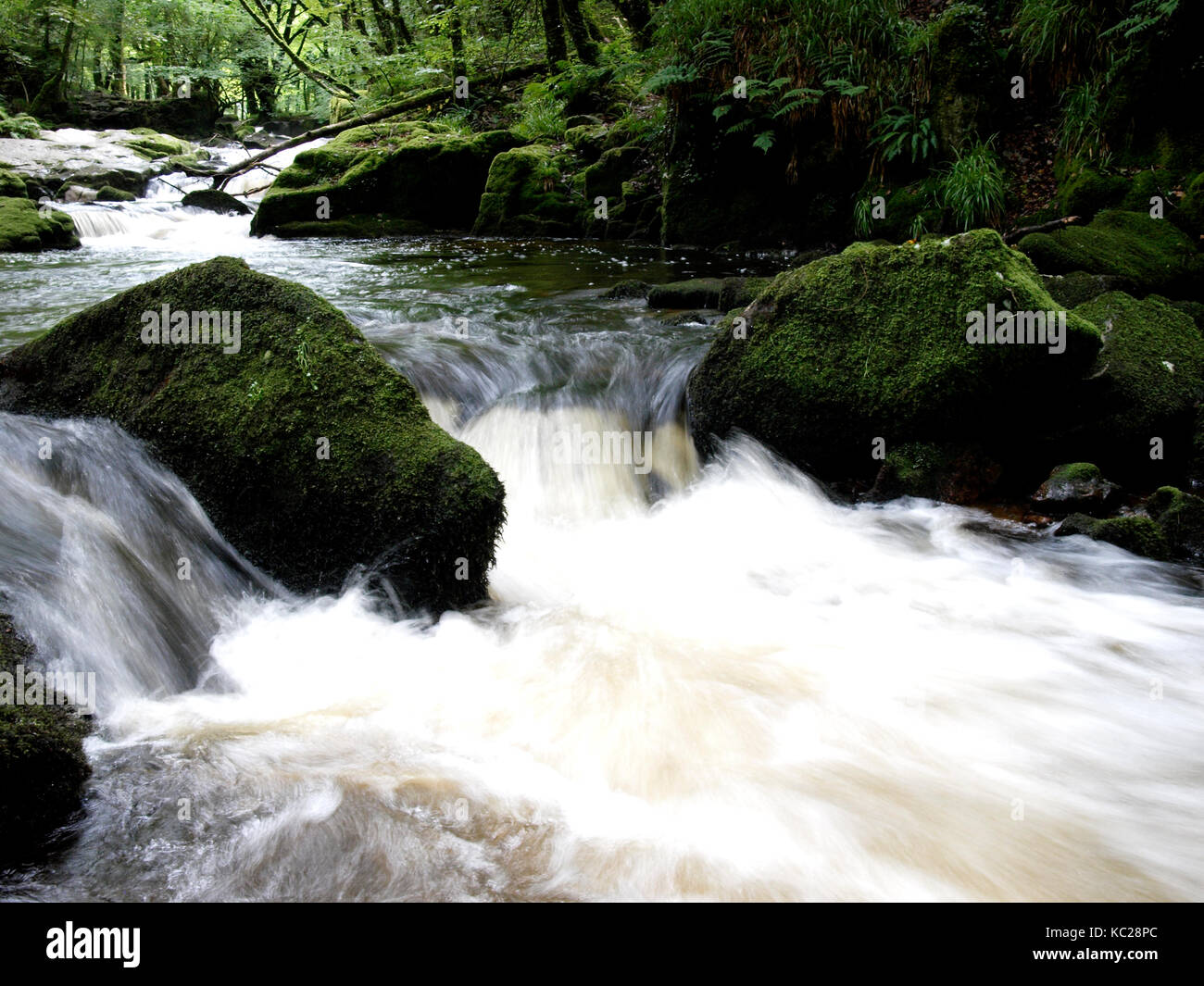 Golitha Falls on the River Fowey through the ancient oak woodland of ...