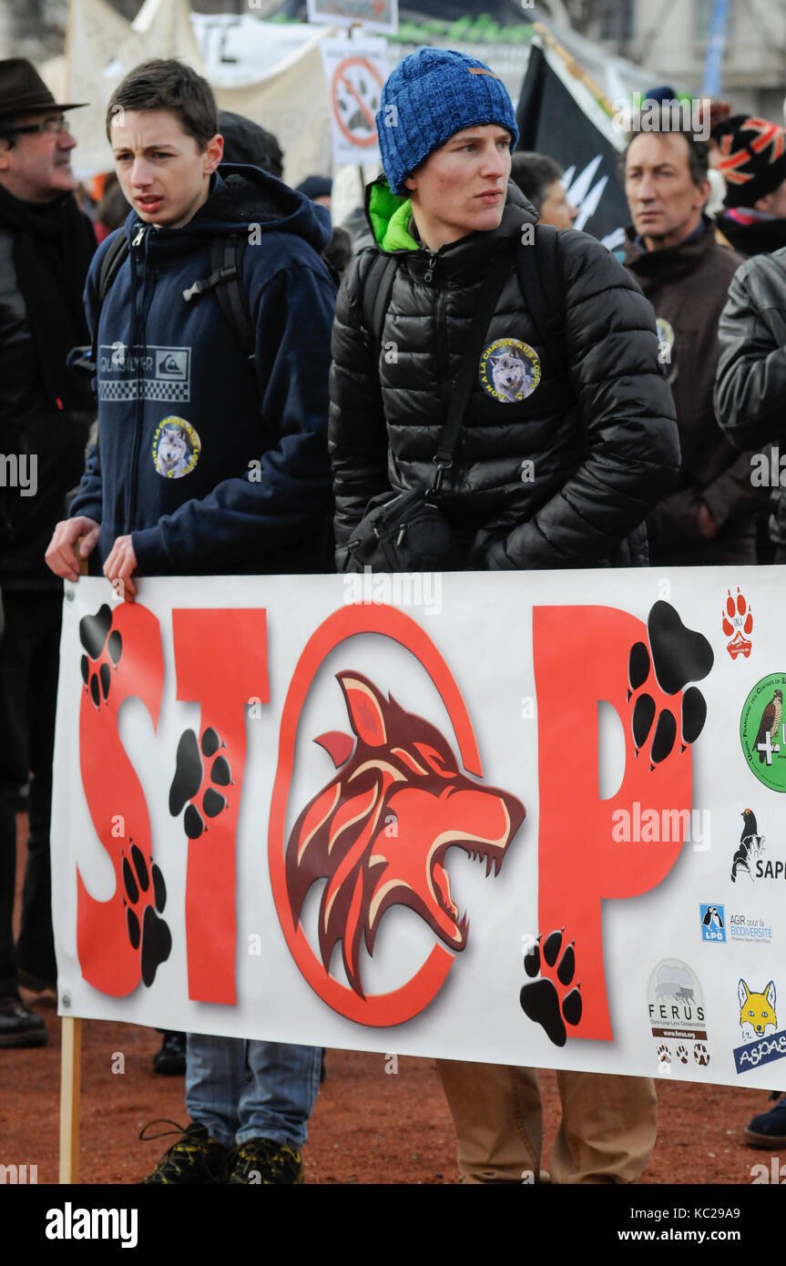 Thousands protest wolves killing in Lyon, France Stock Photo - Alamy
