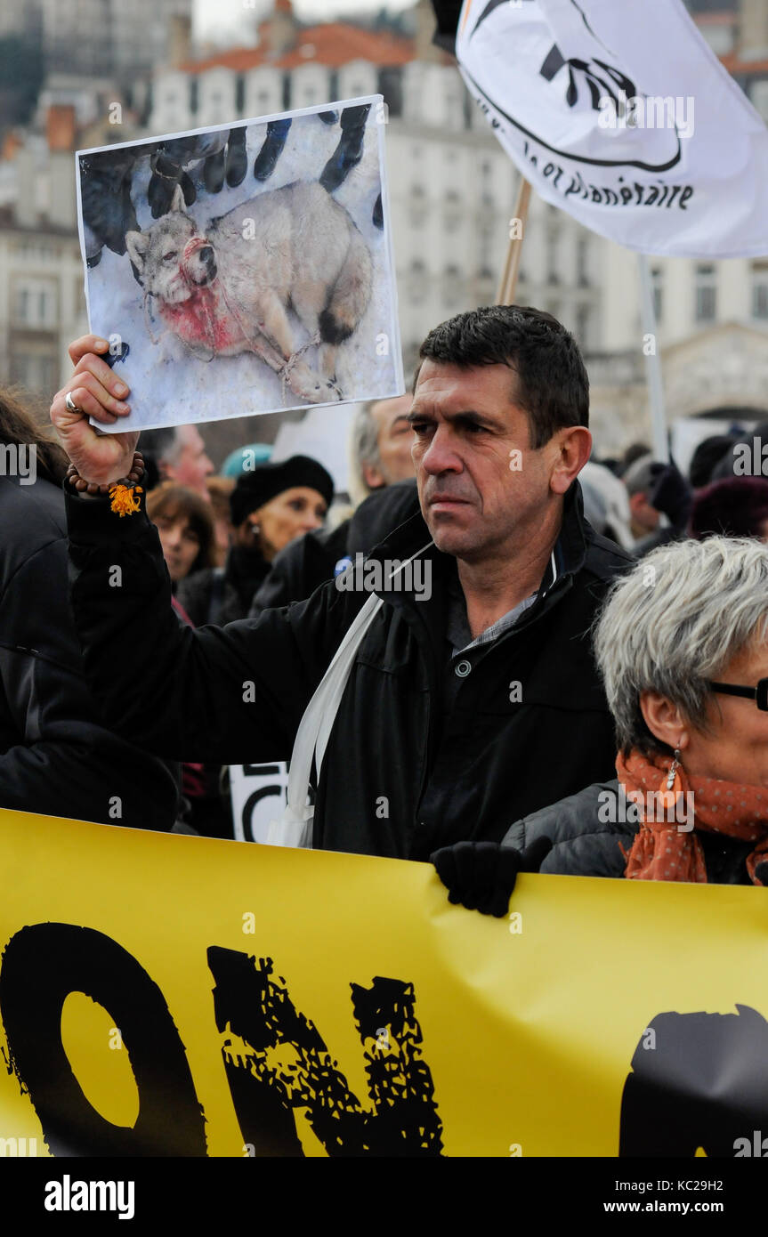 Thousands protest wolves killing in Lyon, France Stock Photo - Alamy
