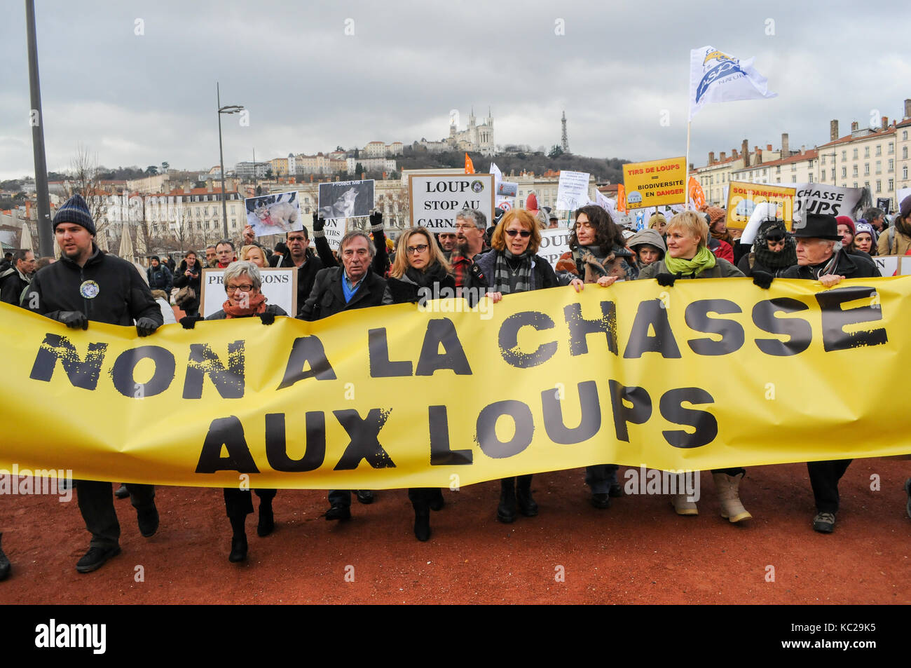 Stop wolves killing hi-res stock photography and images - Alamy