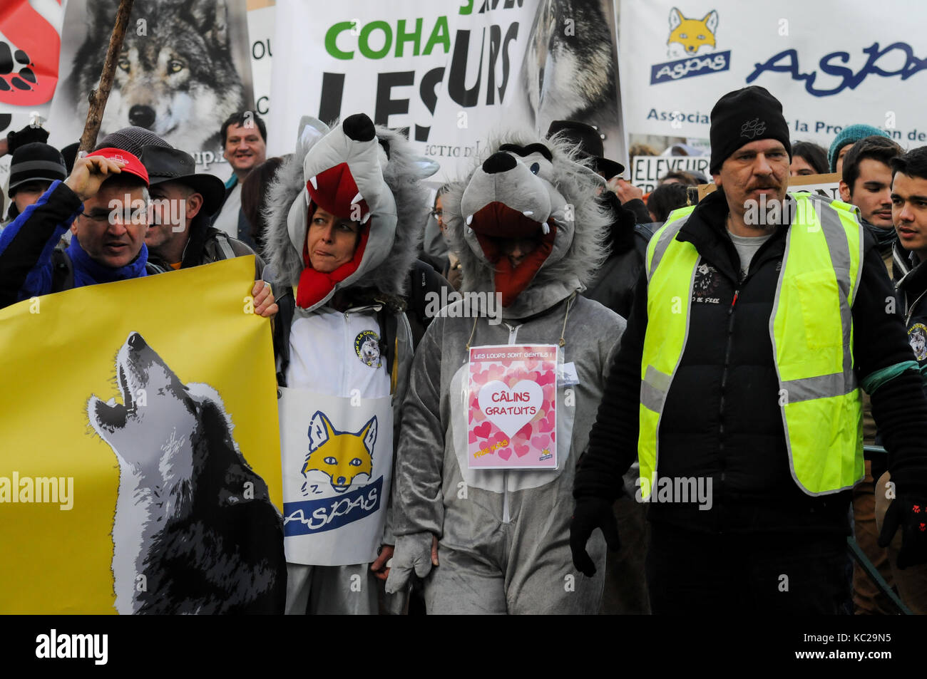 Thousands protest wolves killing in Lyon, France Stock Photo - Alamy