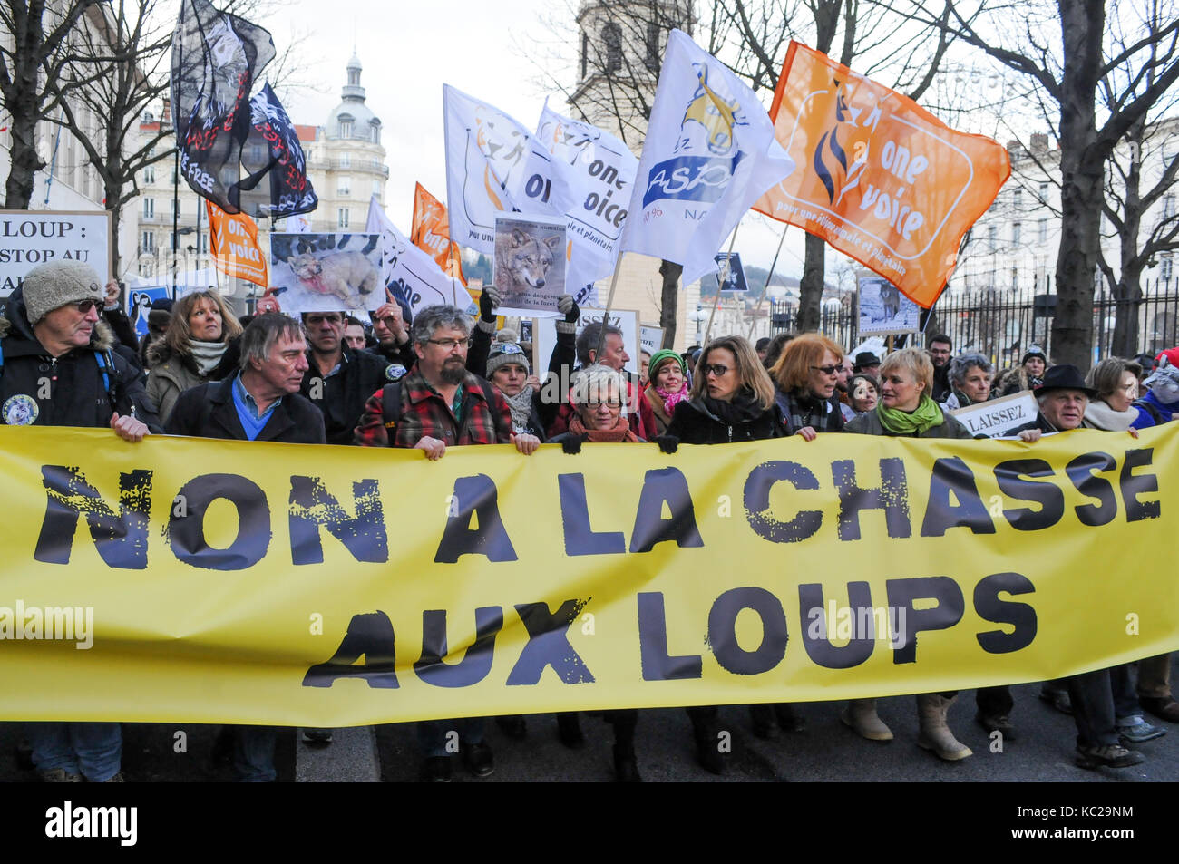 Thousands protest wolves killing in Lyon, France Stock Photo - Alamy