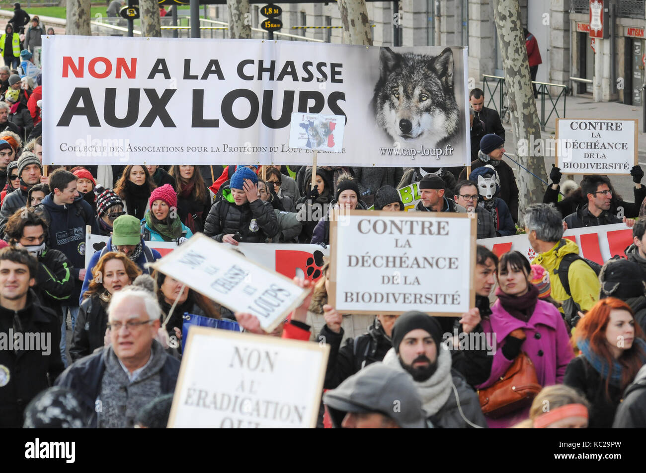Thousands protest wolves killing in Lyon, France Stock Photo - Alamy