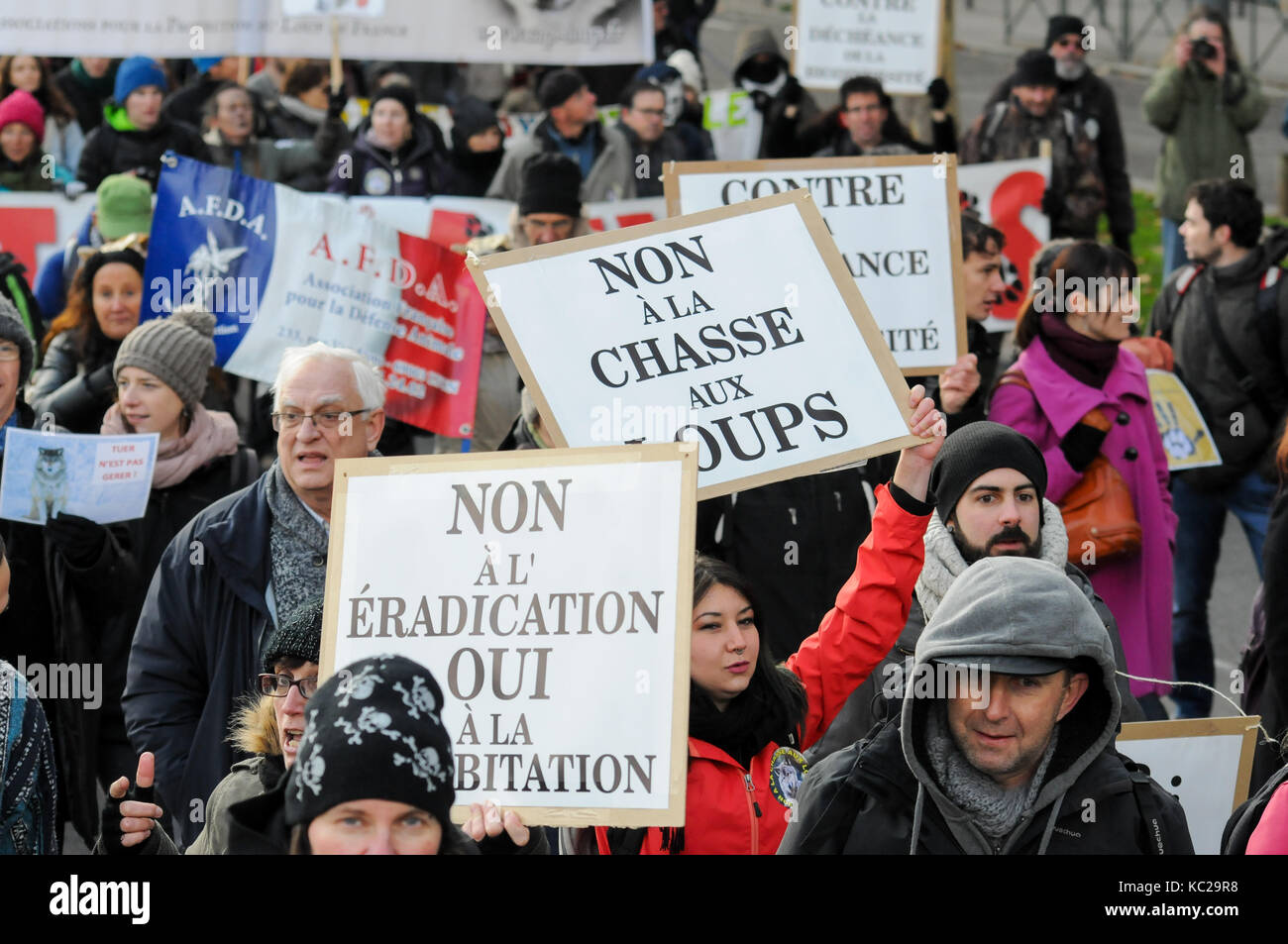 Thousands protest wolves killing in Lyon, France Stock Photo - Alamy