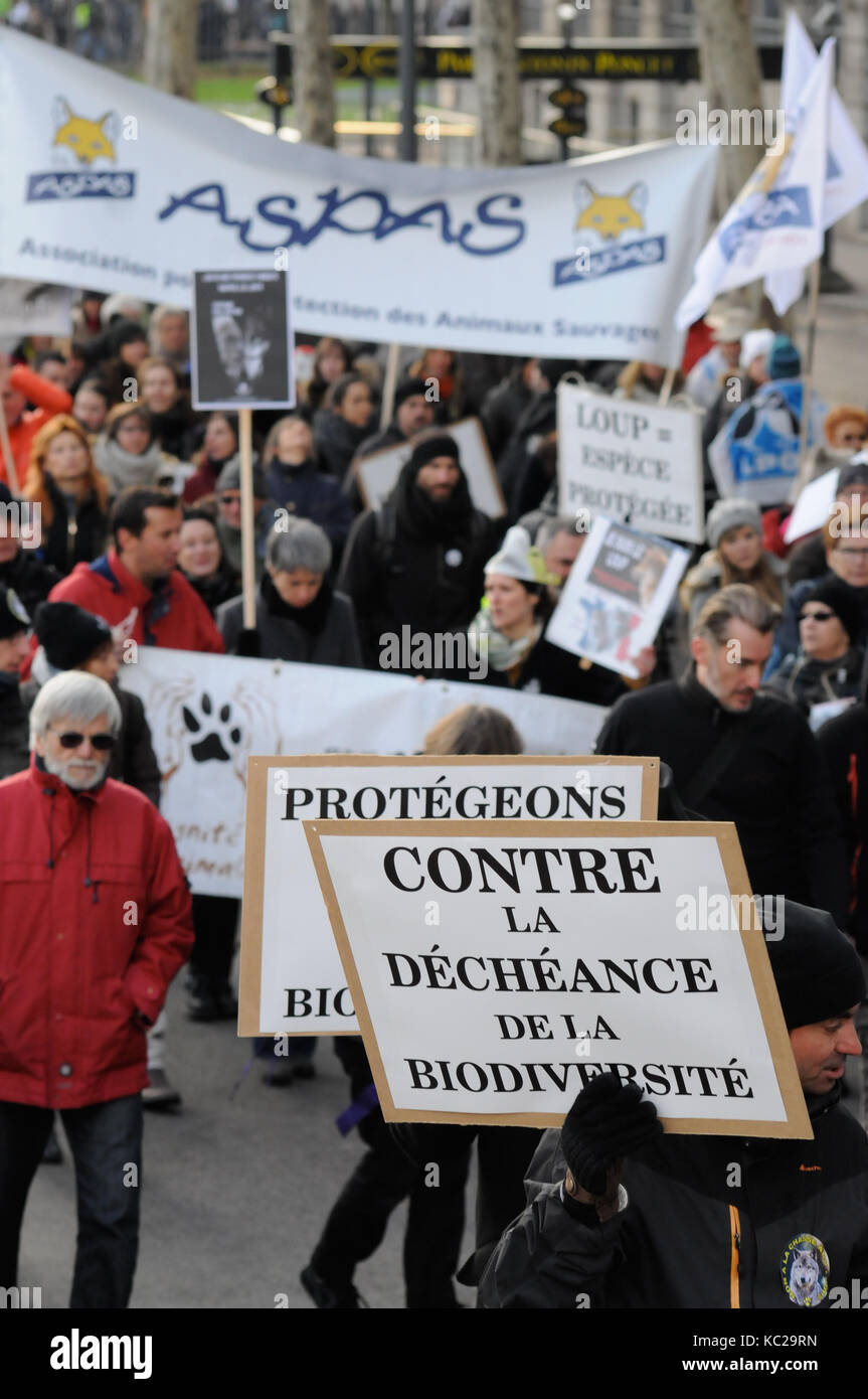 Thousands protest wolves killing in Lyon, France Stock Photo - Alamy