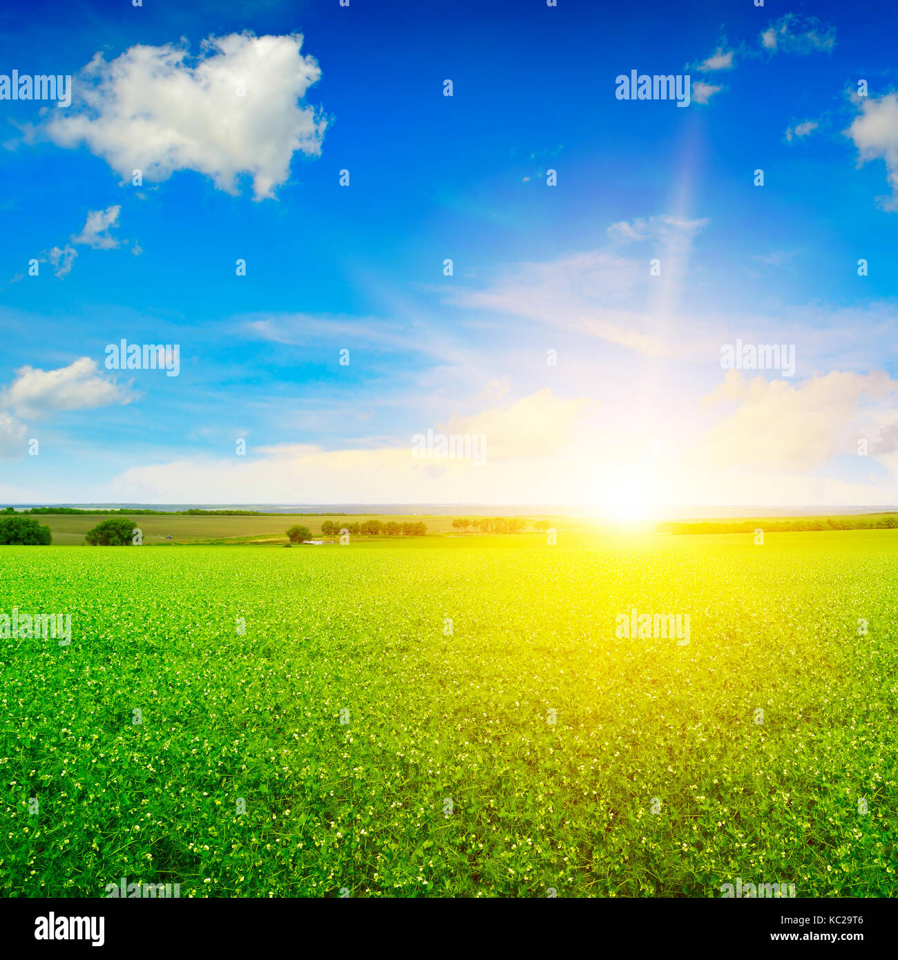 Sunrise Over Green Field