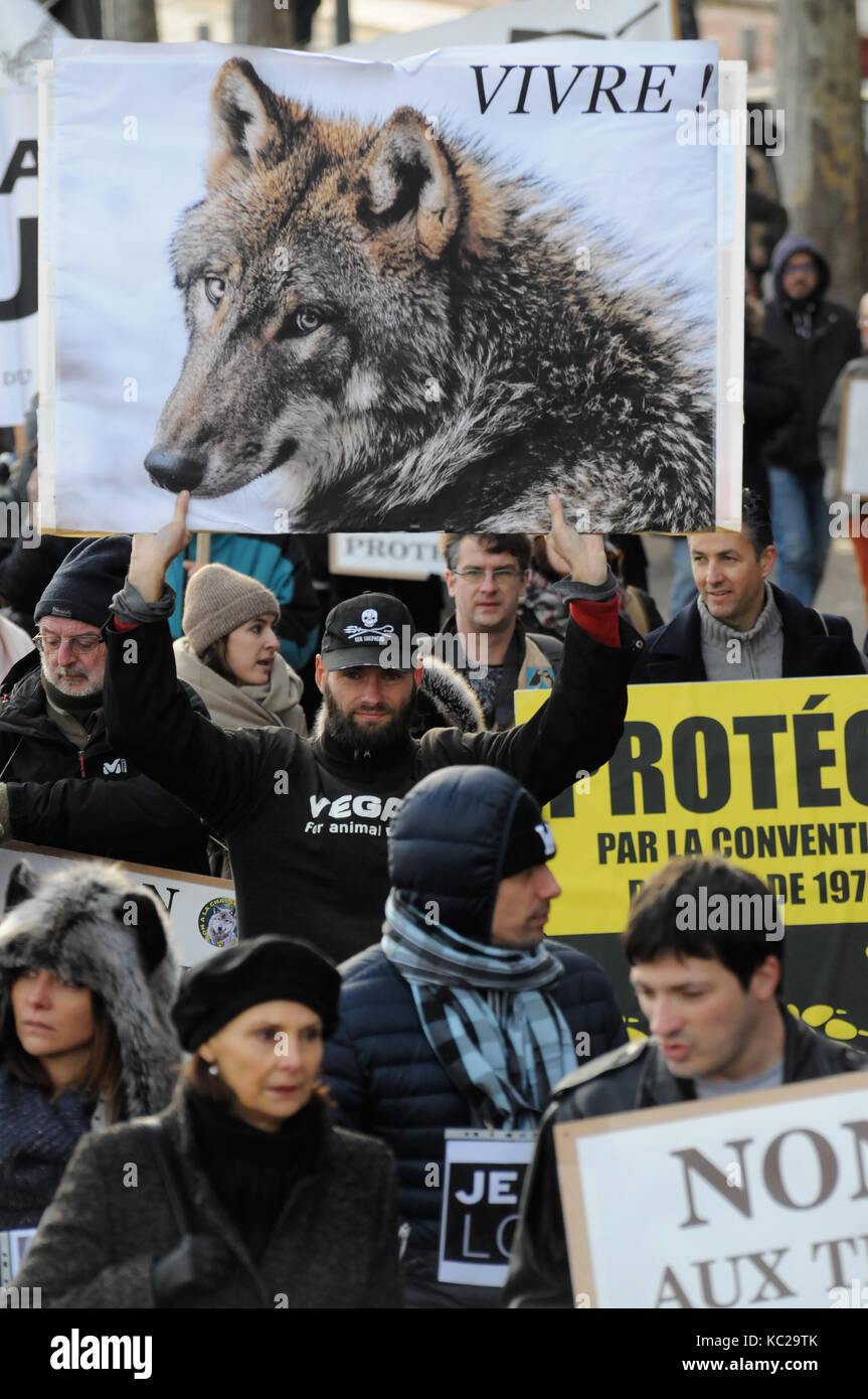 Thousands protest wolves killing in Lyon, France Stock Photo - Alamy