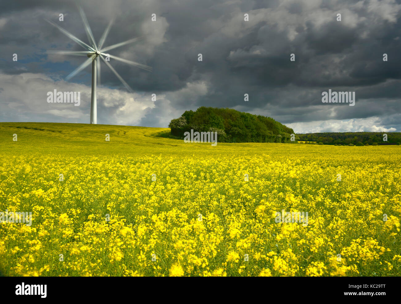 Energy and crop Stock Photo - Alamy
