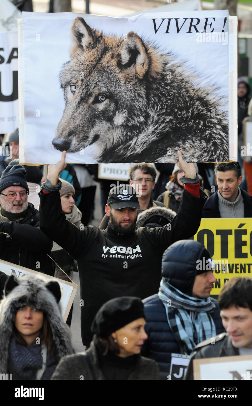 Thousands protest wolves killing in Lyon, France Stock Photo - Alamy