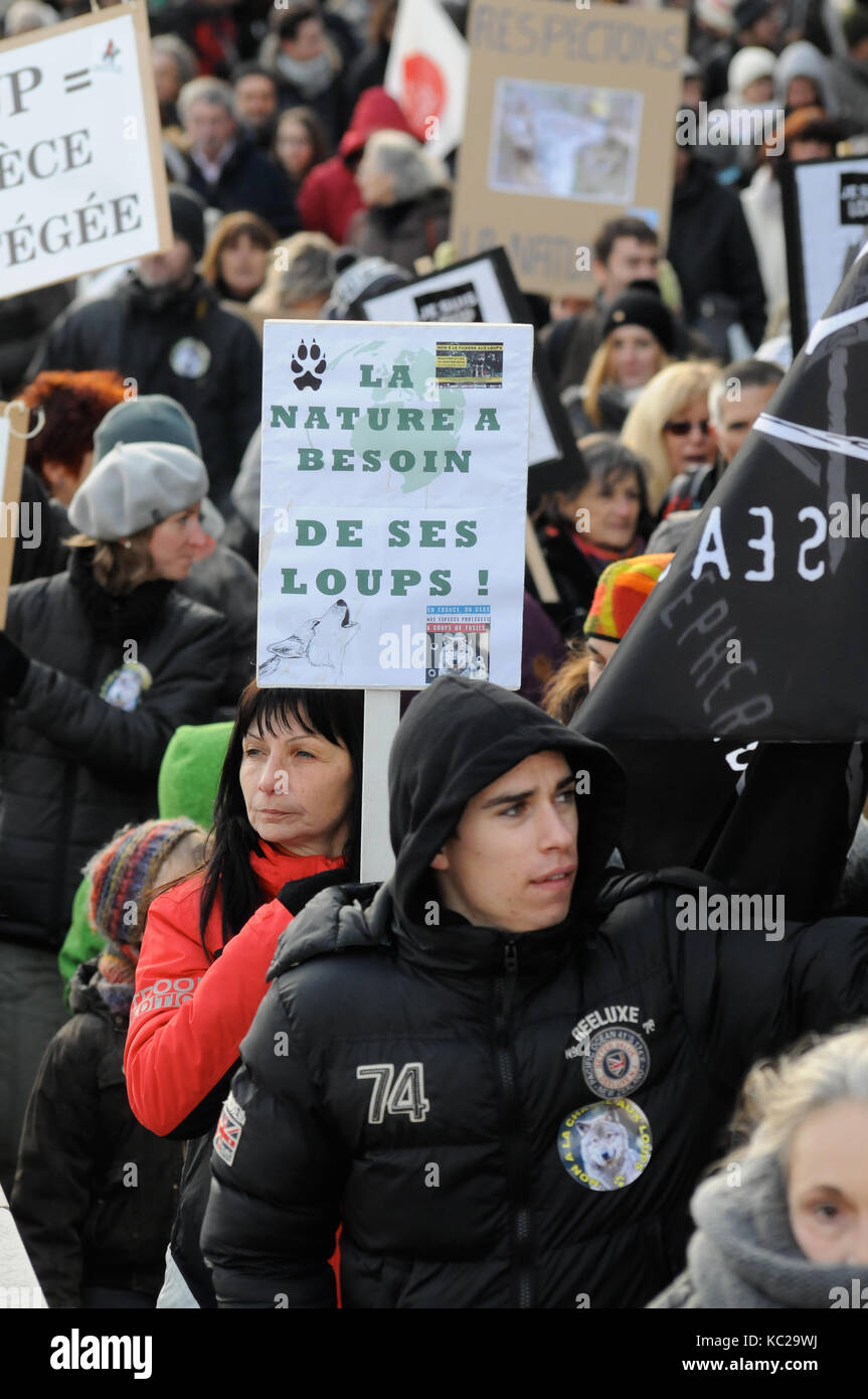 Thousands protest wolves killing in Lyon, France Stock Photo - Alamy
