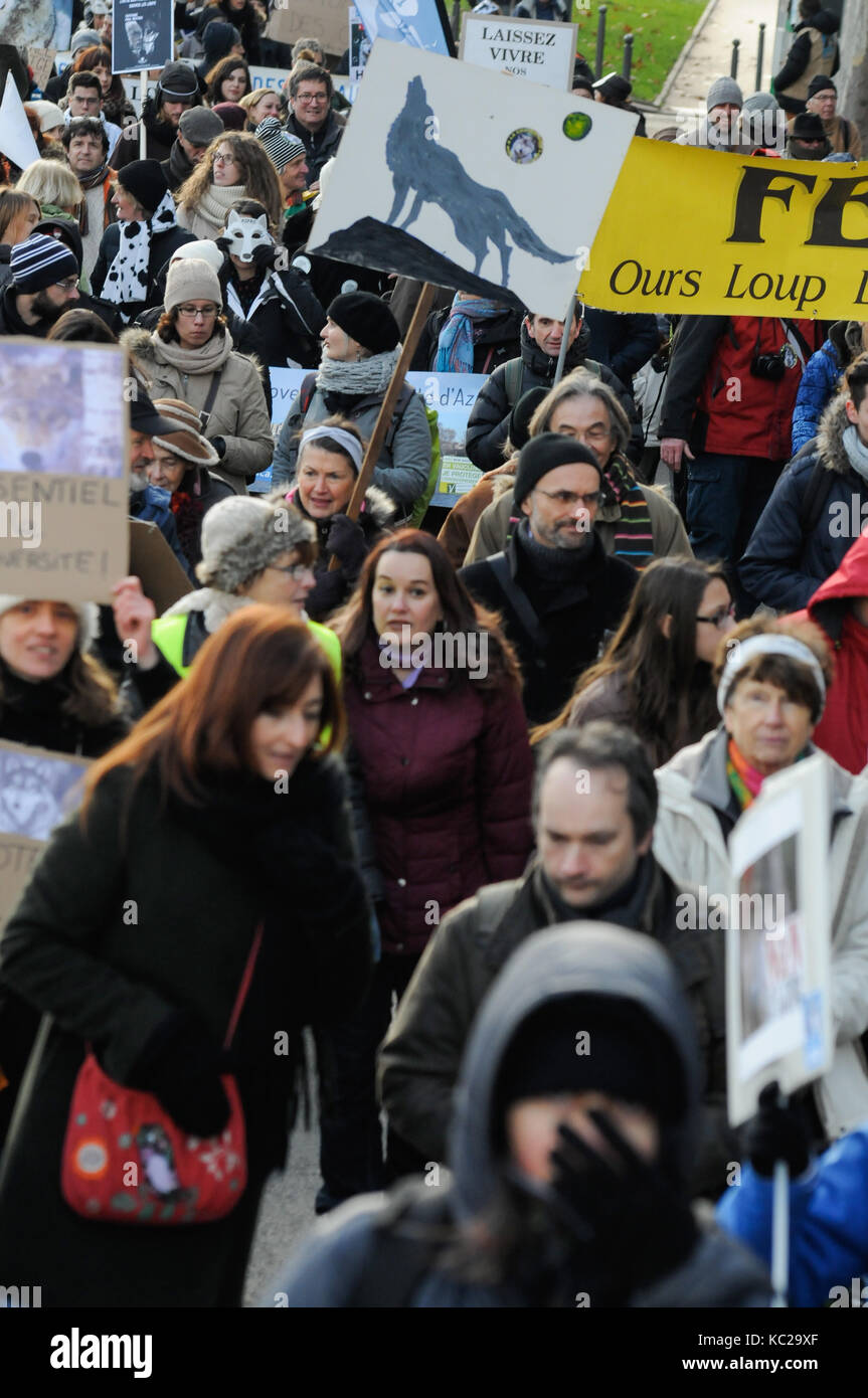 Thousands protest wolves killing in Lyon, France Stock Photo - Alamy