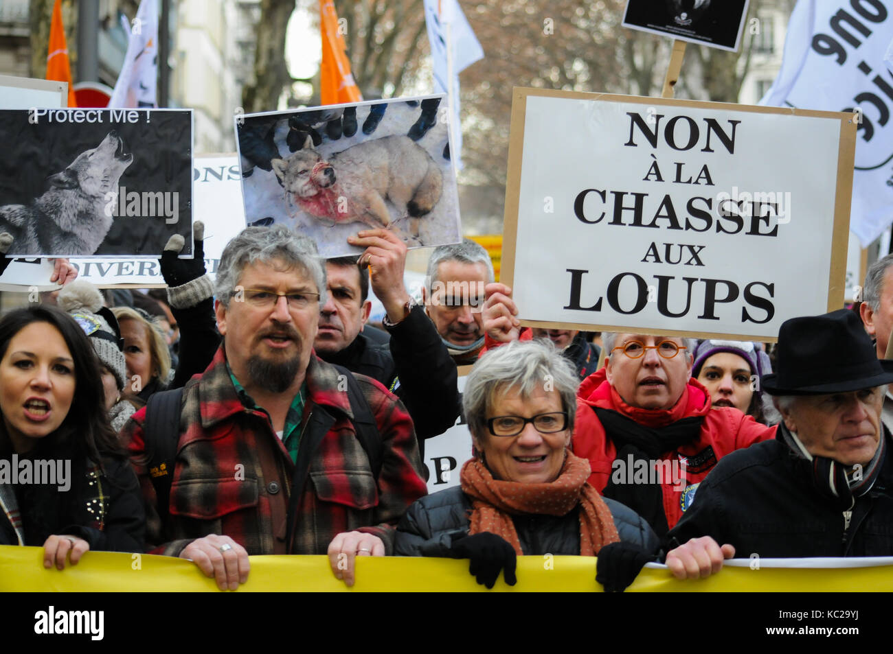 Thousands protest wolves killing in Lyon, France Stock Photo - Alamy