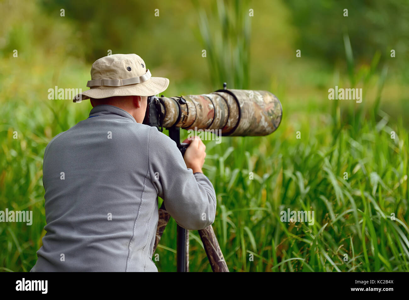 Professional wildlife photographer outdoor Stock Photo - Alamy