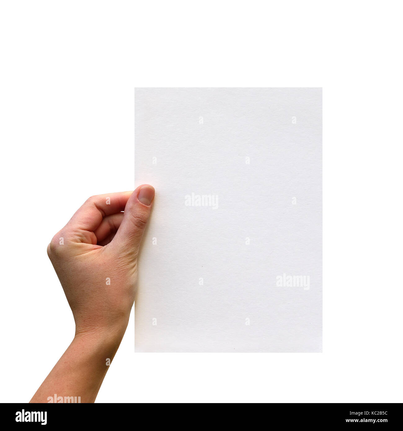 Female hand holding paper blank isolated on white Stock Photo - Alamy
