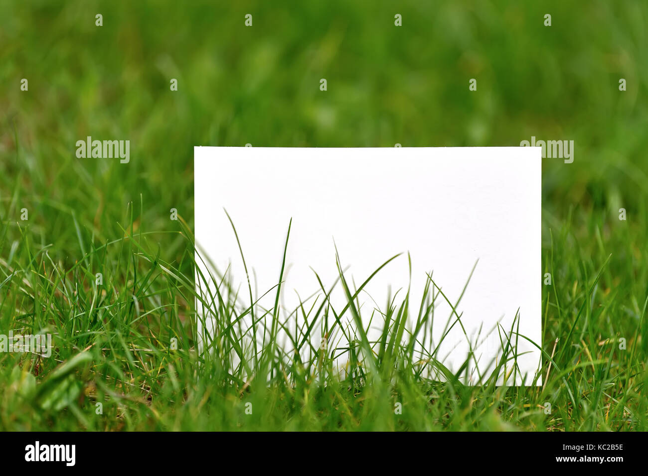 Paper grass texture hi-res stock photography and images - Alamy