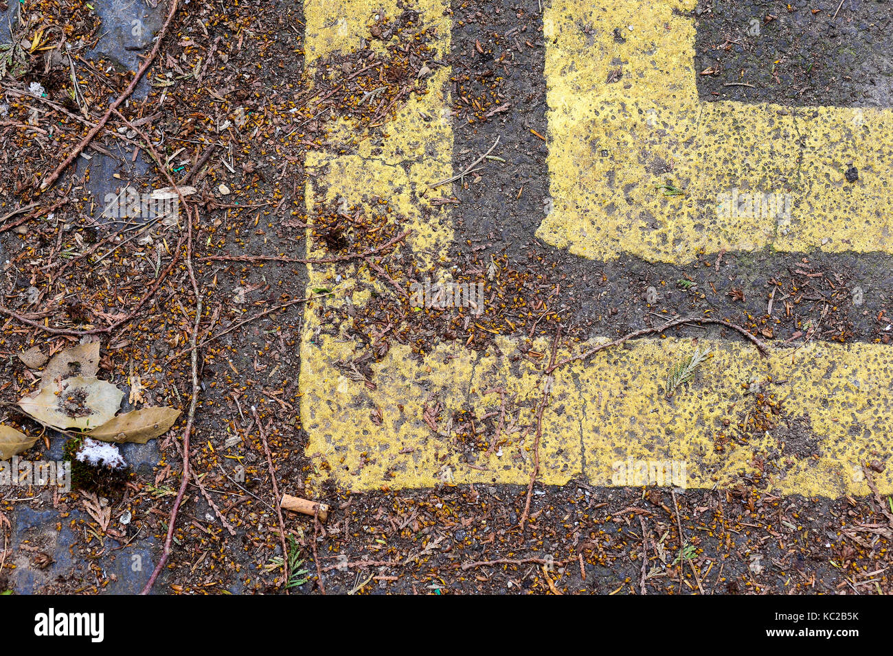Street road end corner with double yellow lines full of leaf debris ...