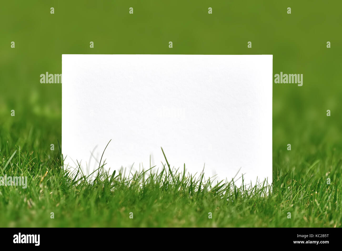 Paper grass texture hi-res stock photography and images - Alamy