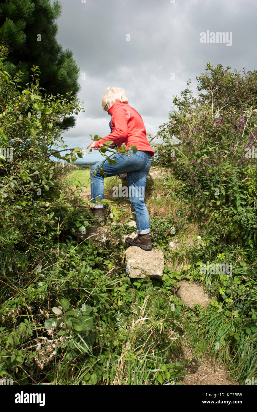 Step stile hi-res stock photography and images - Alamy