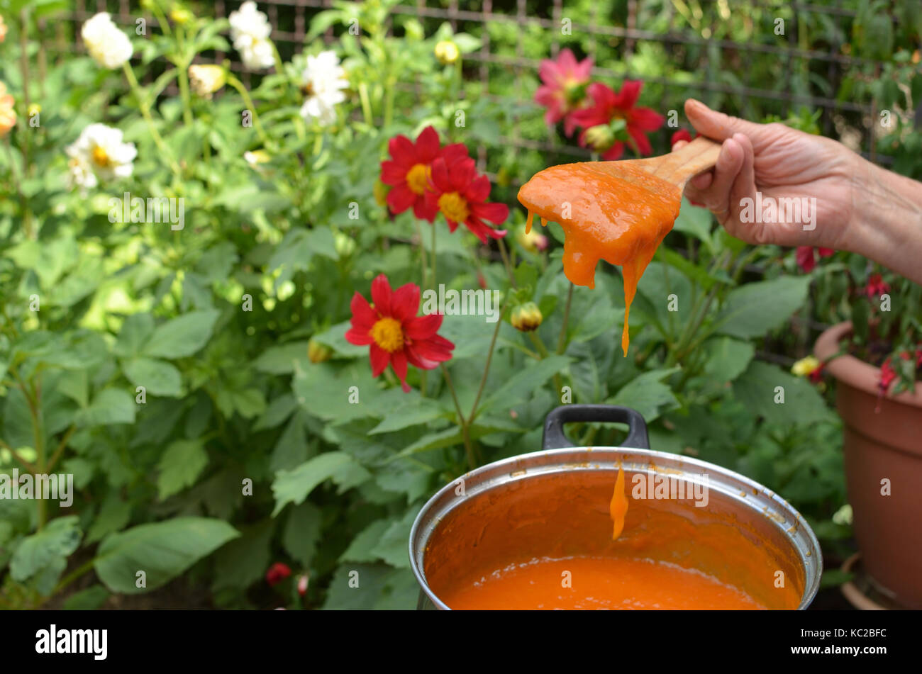 Still hot just made apricot jam in fron of garden flowers Stock Photo ...