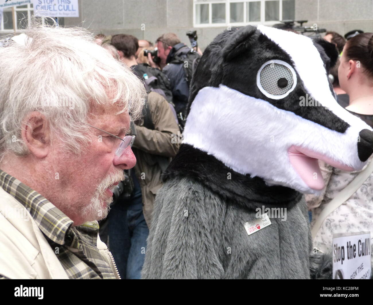 Bill Oddie and a badger 1st June 2013 demonstrating outside the DEFRA ...