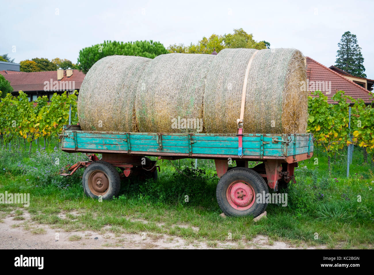 Rolled germany hi-res stock photography and images - Alamy