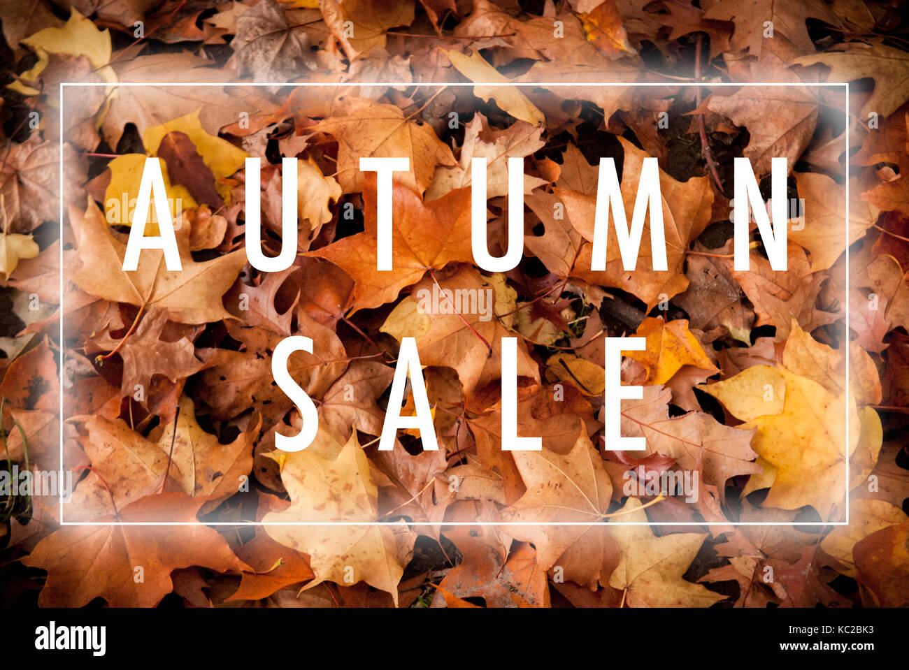 Autumn sales poster hi-res stock photography and images - Alamy