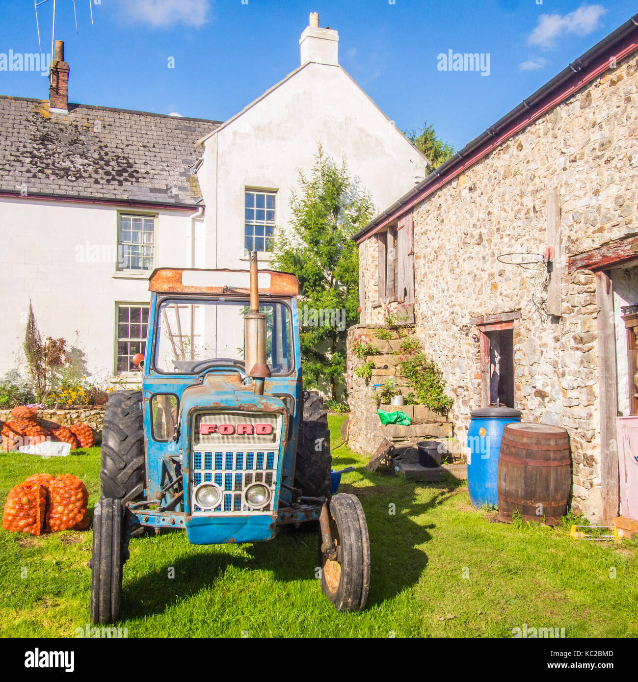 Tractor on a farm in Devon England with sacks of apples ready to be ...