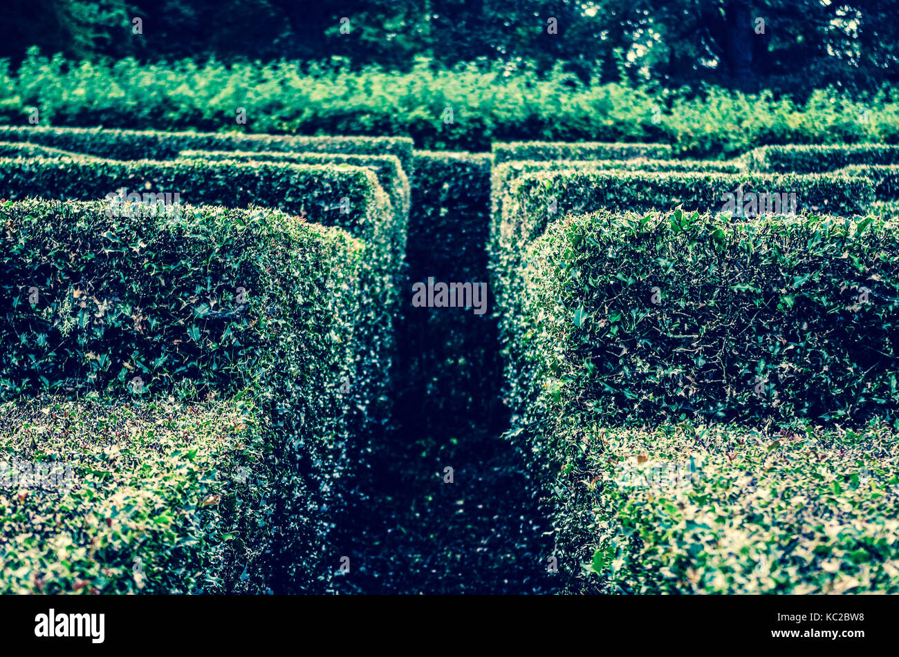 Entrance To Green Maze High Resolution Stock Photography and Images - Alamy