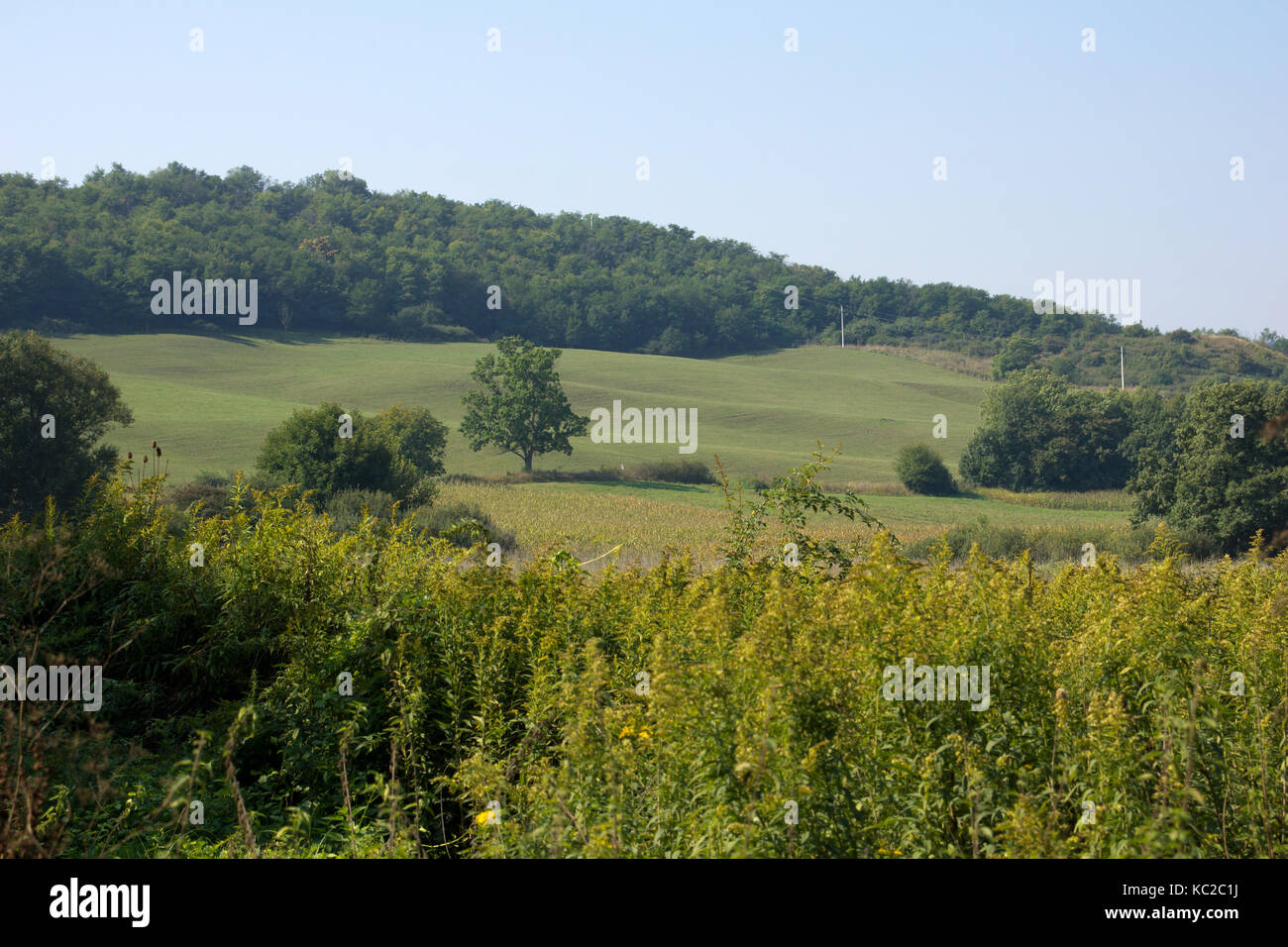 View on Hungarian landscape in the province of Somogy Stock Photo - Alamy