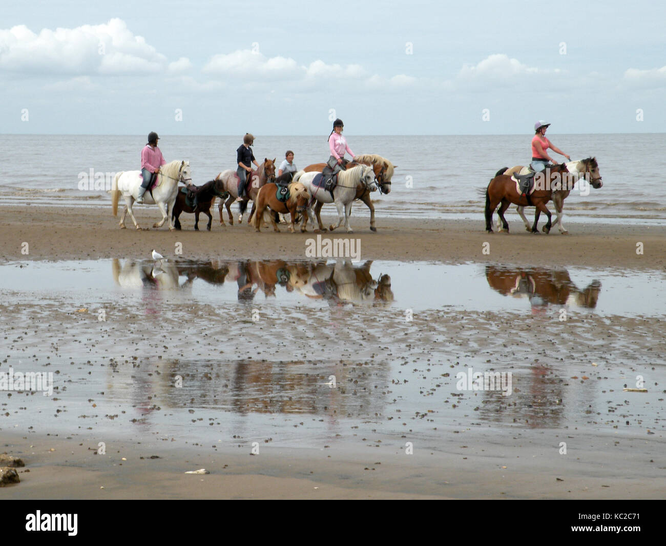 Horse riding on the beach Stock Photo - Alamy