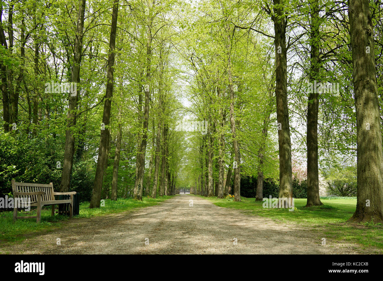 Tranquil lane hi-res stock photography and images - Alamy