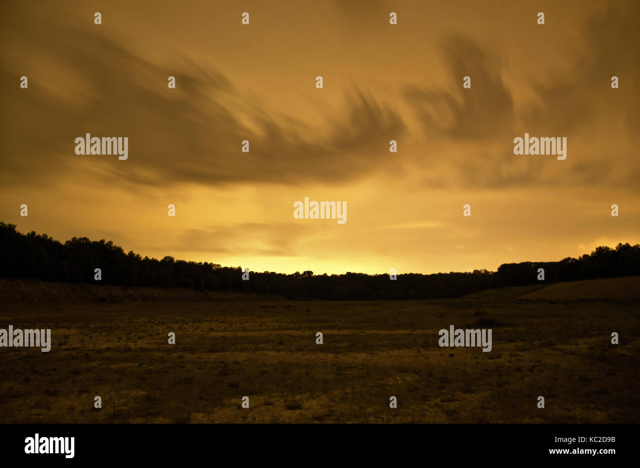 Landscape of Treeline at Dusk Stock Photo - Alamy