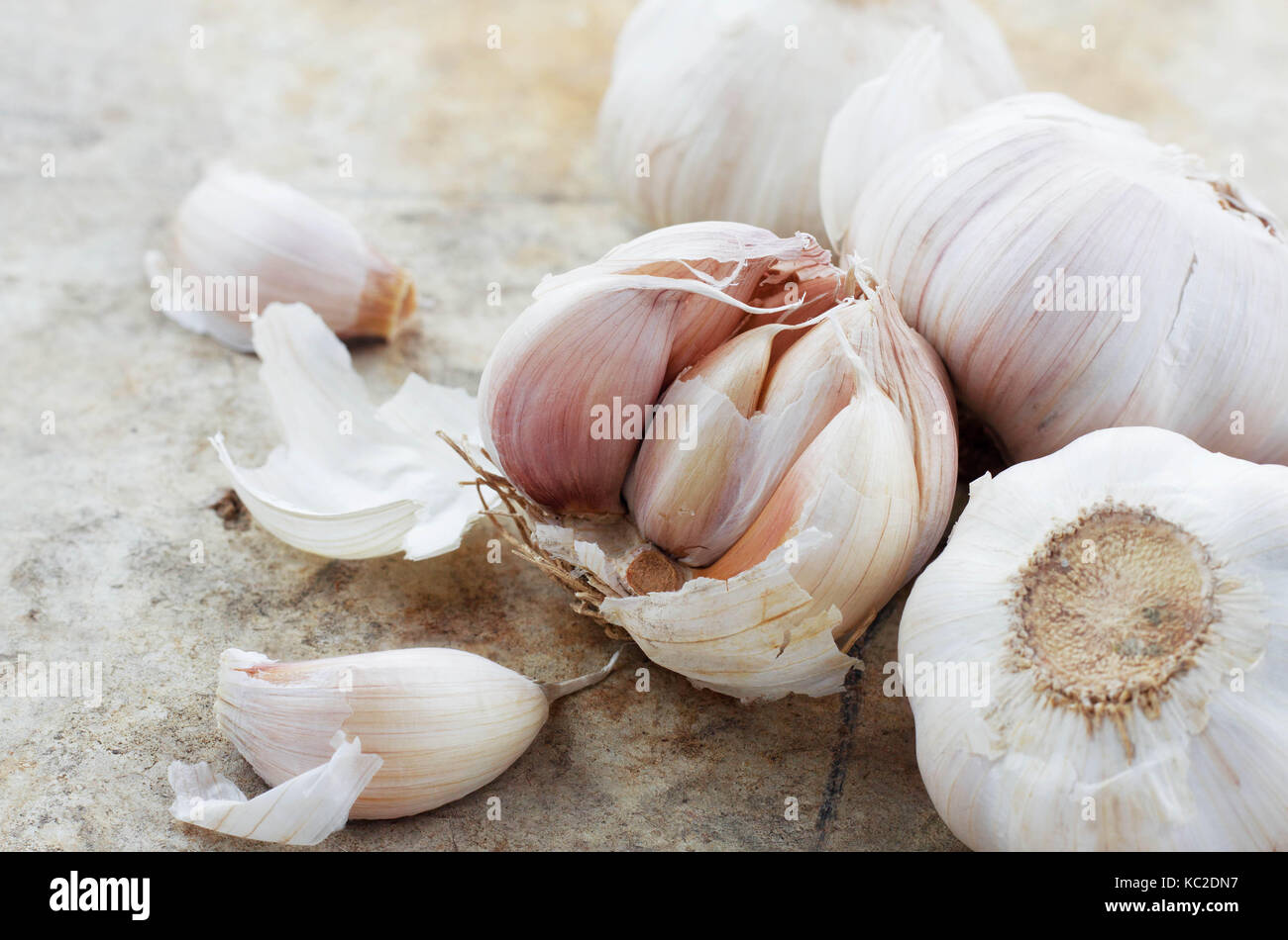 Garlic on the old cement floor Stock Photo - Alamy